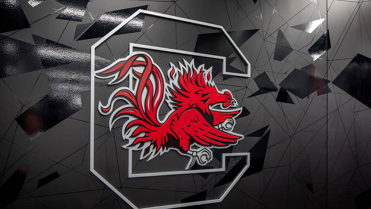 Usc Gamecocks Wallpaper